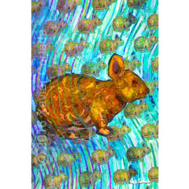 Lower Keys Rabbits - Endangered Animals – Cortada Foundation